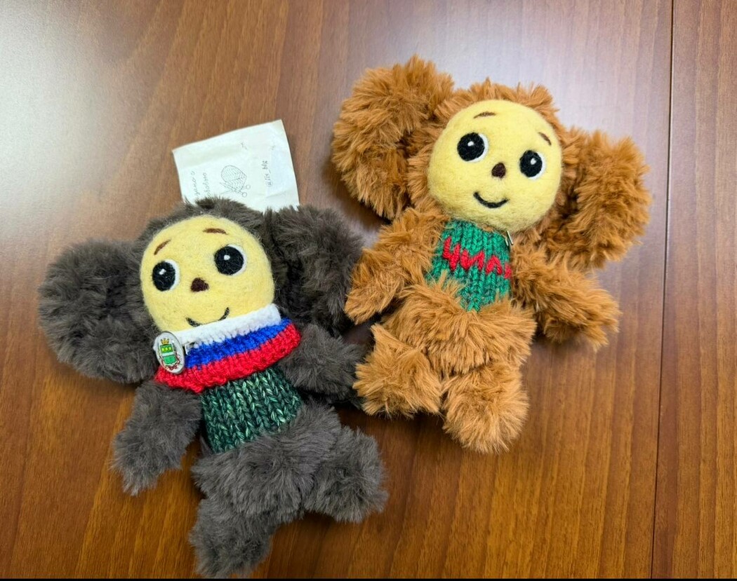 Амурчанин, не дожидаясь спецборта, сам доставил в зону СВО нужную технику (видео) Amur.Life