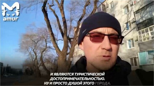 Скандал с вырубкой старейшей липы в Благовещенске попал в популярный телеграм-канал Mash Amur.Life