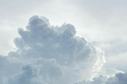 Среда в Приамурье будет прохладной и дождливой Amur.Life