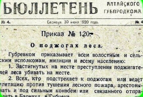 Амурское лесничество подняло архивы и нашло ответ, почему 100 лет назад не горели леса Amur.Life