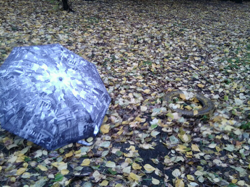 Прогноз погоды в Амурской области на 1 ноября: до минус 20 Amur.Life