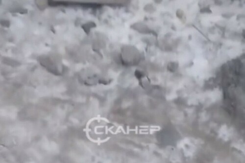 На стройплощадке Благовещенска обнаружили тело мужчины (видео 18+) Amur.Life