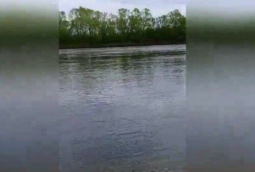 Дорога в райцентр превратилась для амурчан в экстремальное испытание (видео) Amur.Life